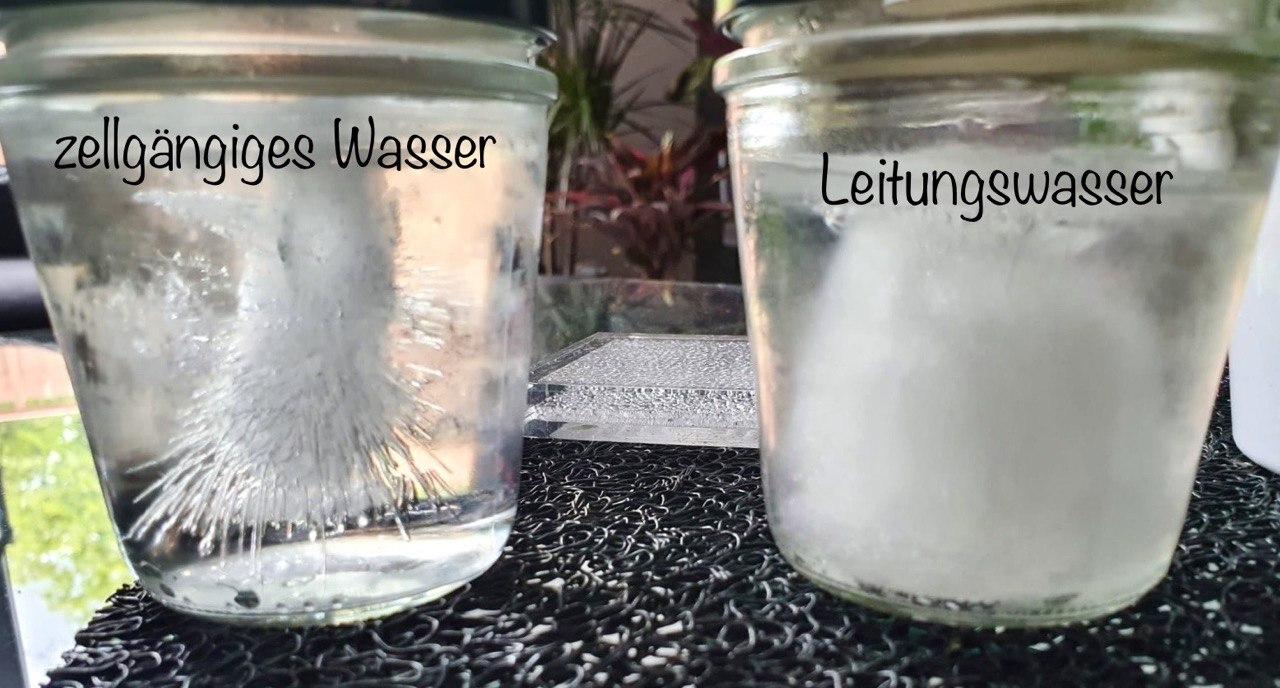 Einfrier-Test - Holistisches Wissen